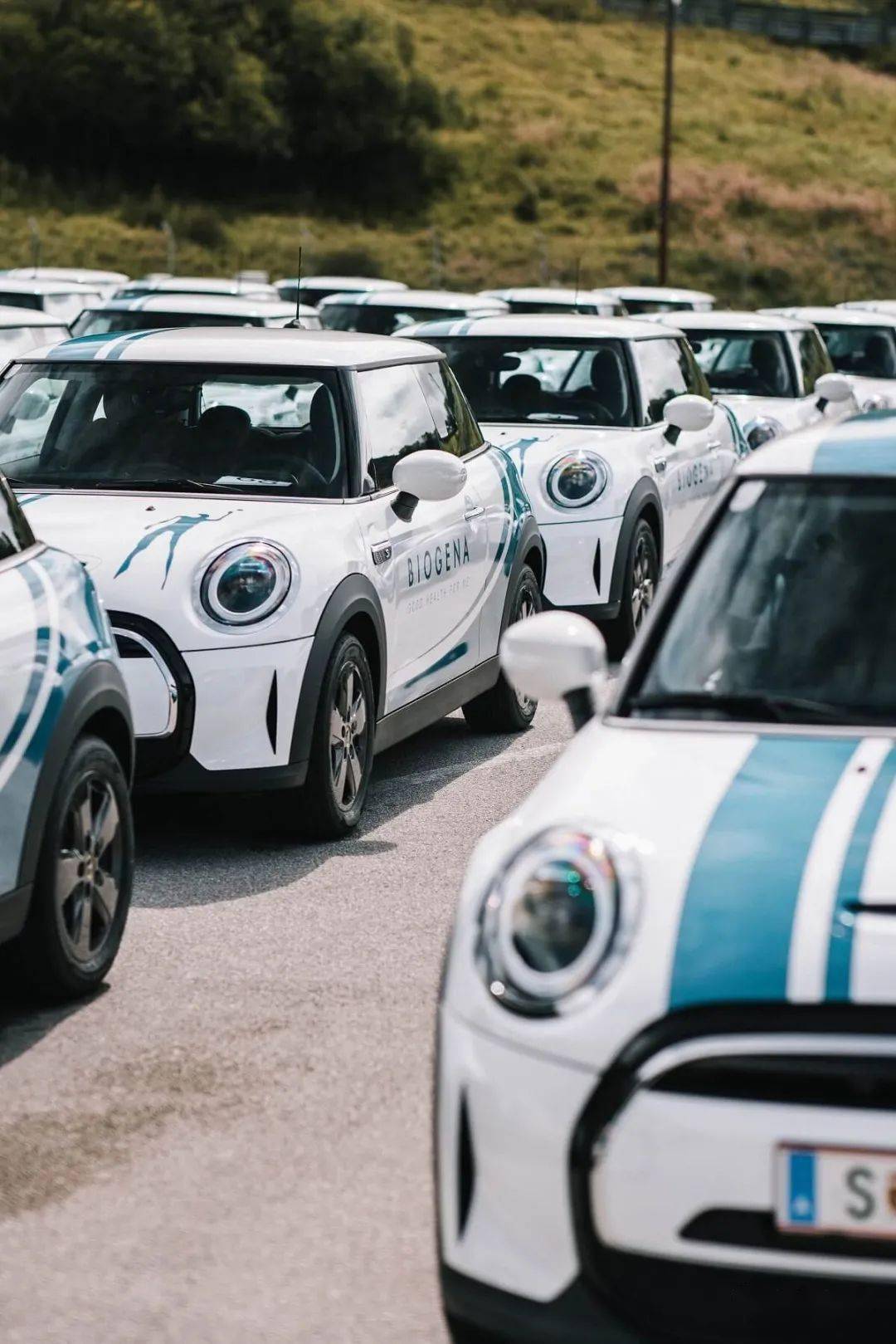 【大订单！】MINI获得客户大力支持！一口气团购82辆MINI Cooper SE_搜狐汽车_搜狐网