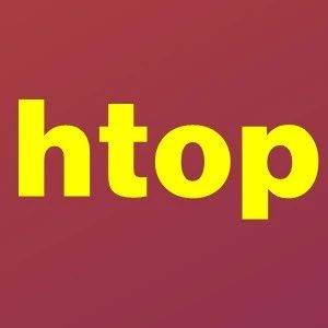 htop - 最新版Linux交互式进程管理神器，提供了很酷的新功能_www