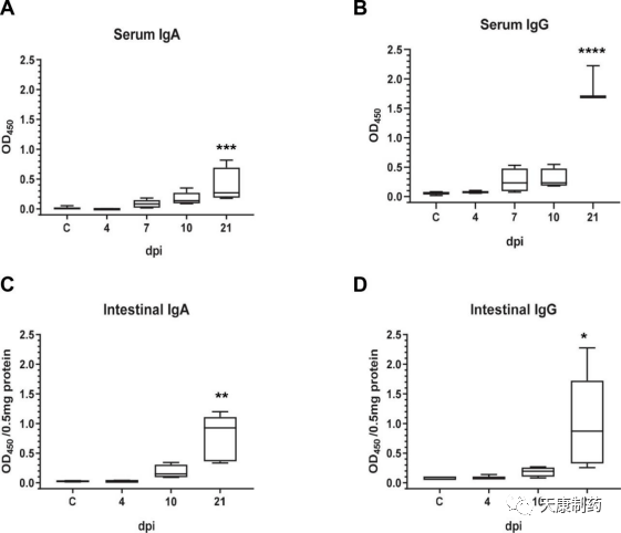 PEDv感染的免疫应答及预防感染研究_病毒