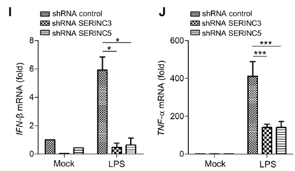 刘善虑教授课题组发现HIV宿主限制因子SERINC的新抗病毒机制_蛋白