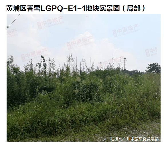 香雪LGPQ-E1-1：“网红盘”层层包围，位置稍偏如何突围？_地块