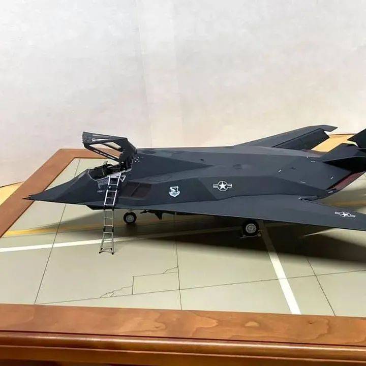 F-117A都回到现役了，F-14是不是也有希望了？_作品