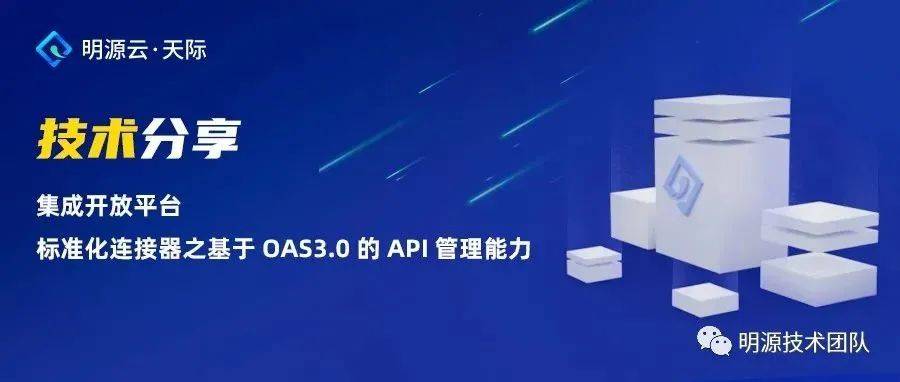 集成开放平台标准化连接器之基于OAS3.0的API管理能力_OpenAPI