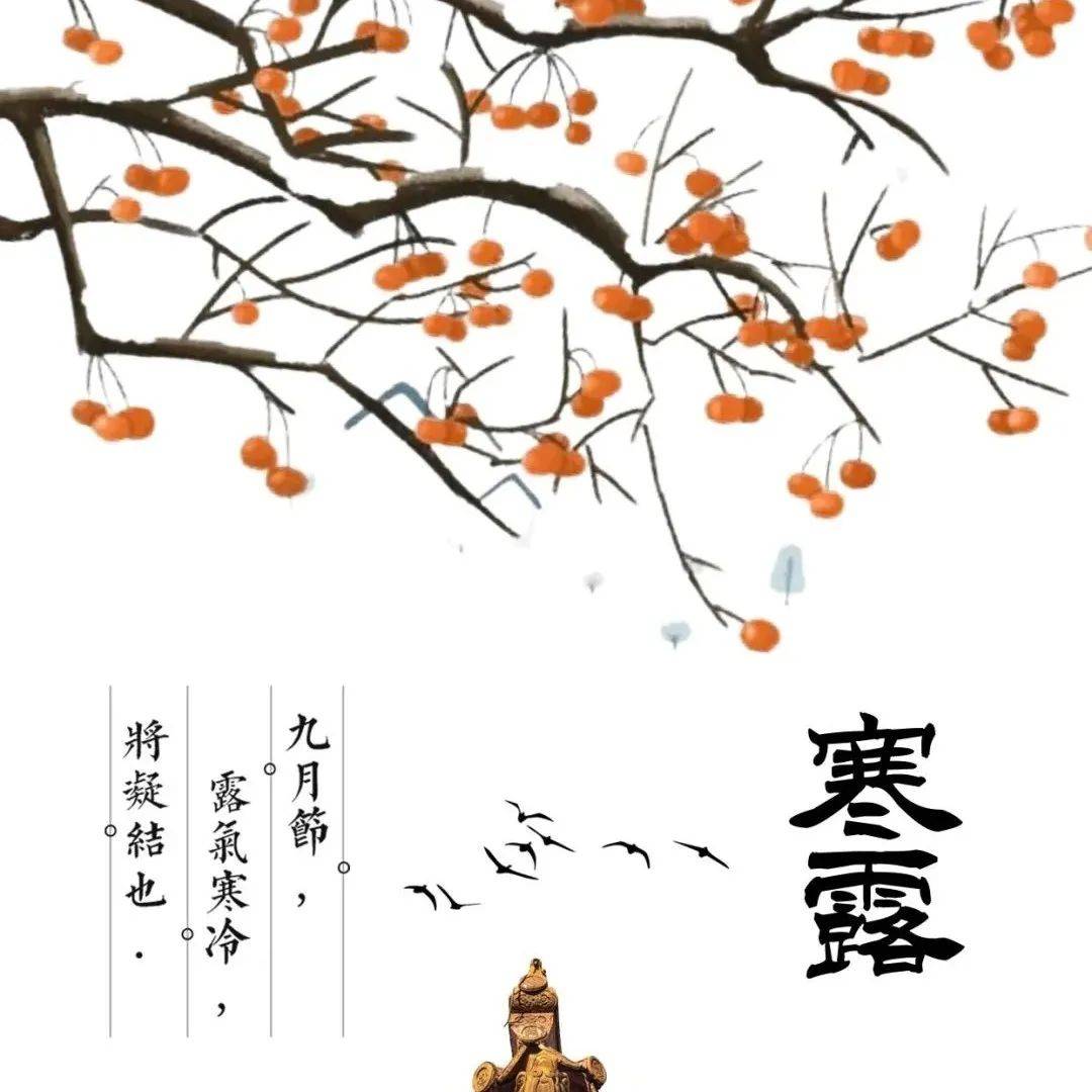 今日寒露 最是橙黄橘绿时黄华