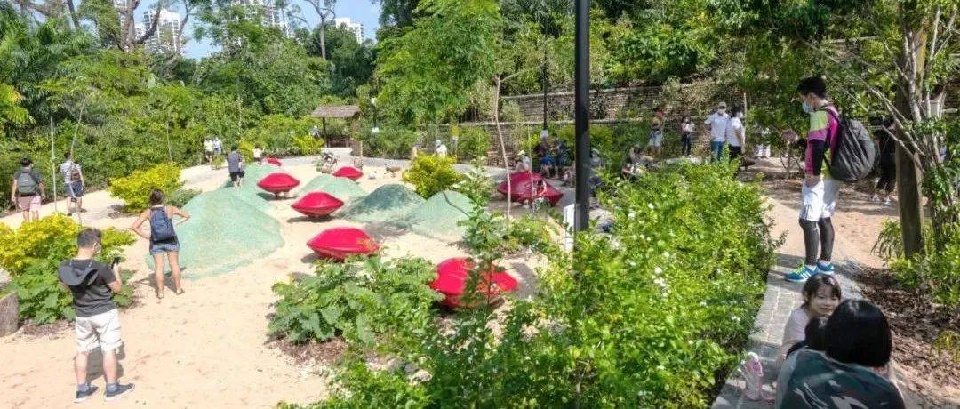 藏在大自然中的冒险丛林：新加坡 COMO Adventure Grove_榕树