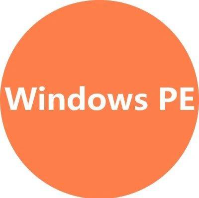 Windows PE权威指南_文件