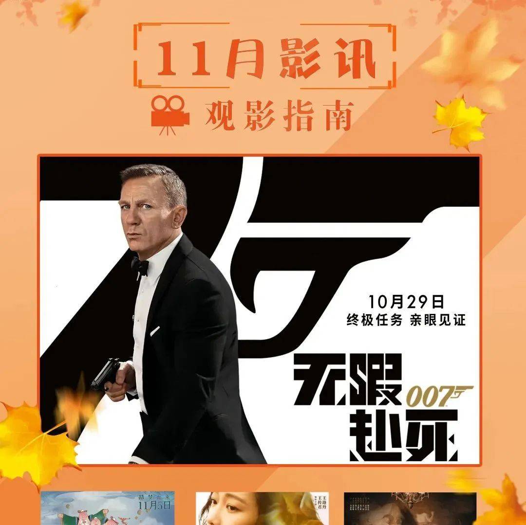 十一月电影推荐！_天书