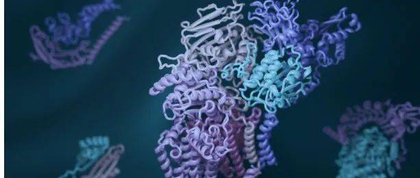 Science重磅：AlphaFold2从830万蛋白质中挑出了700种「复合物」_结构