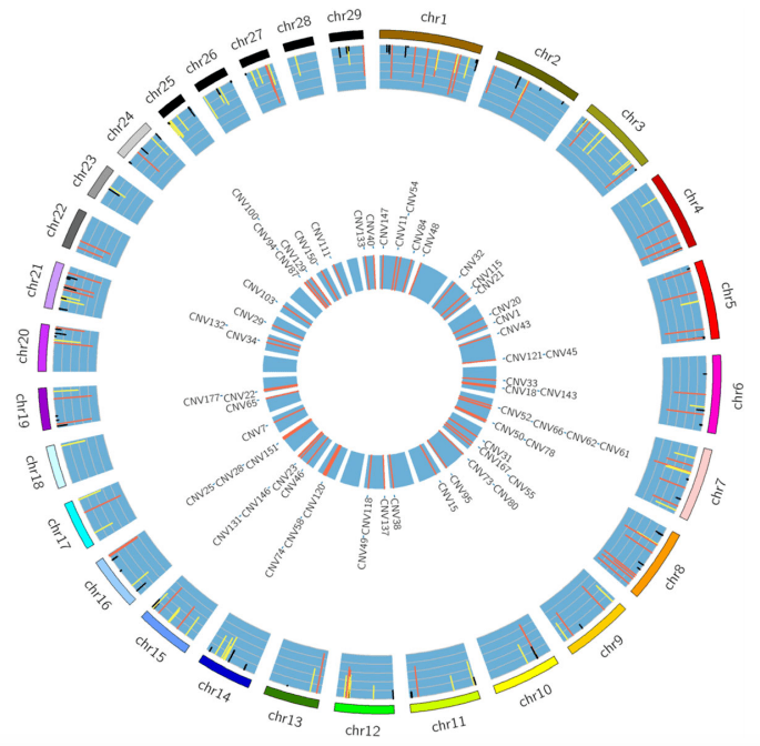 复杂数量性状的GWAS：SNP-GWAS to SV-GWAS_研究_鉴定_进行