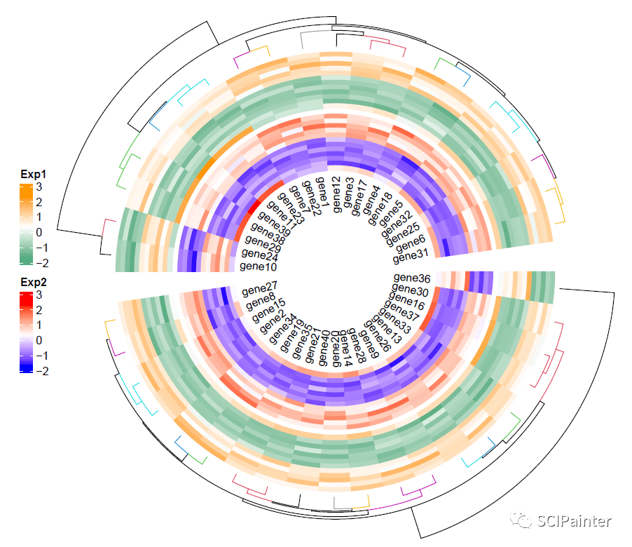 热图也开始“内卷”——环形热图如何绘制？_circos_side_dend