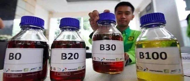 B30生物燃料为印尼节省外汇支出45.40亿美元_柴油_能源_文章