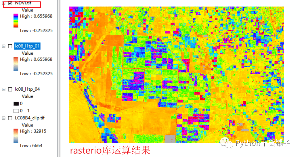干货分享 | 利用Python和ArcGIS计算并绘制NDVI_运算_float_数据