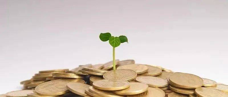理财金句中 一点就通”的道理(收藏)投资撑杆跳时候