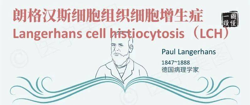 名称故事丨朗格汉斯细胞组织细胞增生症 增殖 系统 疾病