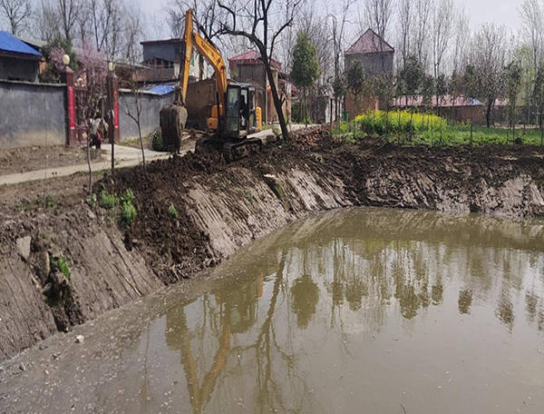 平舆县李屯镇：加强人居环境整治 为疫情防控减压_农村_工作_全镇
