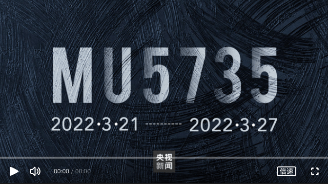 悼_为MU5735遇难同胞默哀_段岚茜_王璐瑶