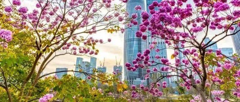 【作家诗文】珠三角情思 外1首陈国生中国诗歌书号
