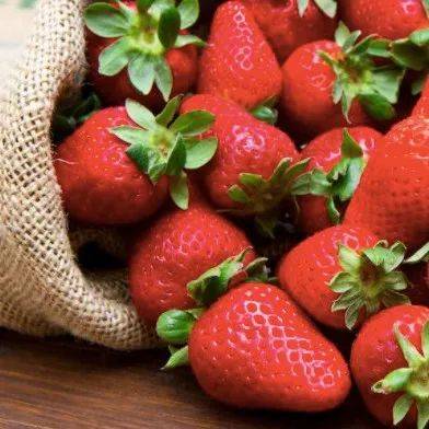 US strawberry market receives more imports as demand grows_being_report_The