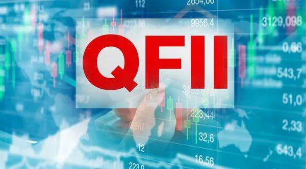 QFII最新持仓曝光！整体风格偏向中小盘，最大QFII久违发声！这只股票持仓变动最大_投资_中国_持仓市值