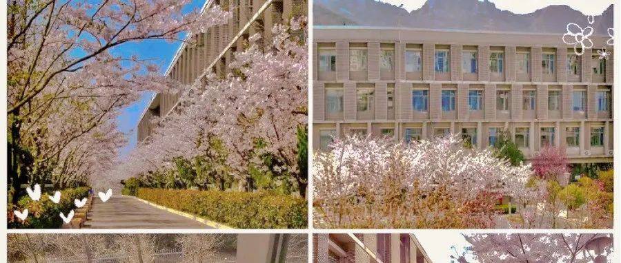 【二实验·战 疫”】空中课堂——待到樱花烂漫时,我们重逢山海间疫情浮山蕴含着