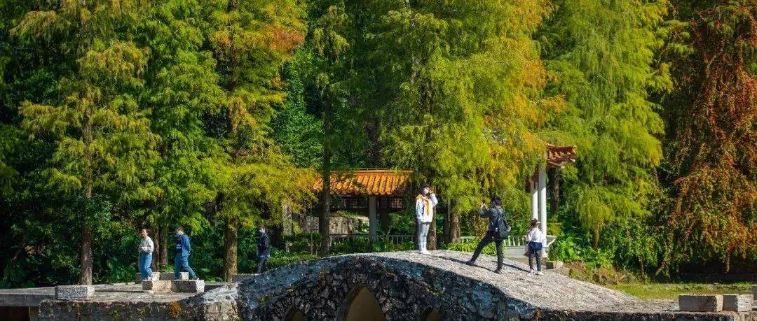 今起，这些区域暂停对公众开放！深圳知名景区通知仙湖植物园时间游客