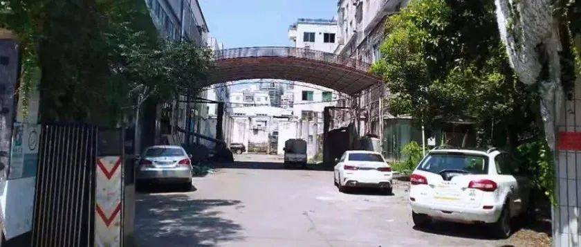 龙港某知名企业破产资产瑞教处置