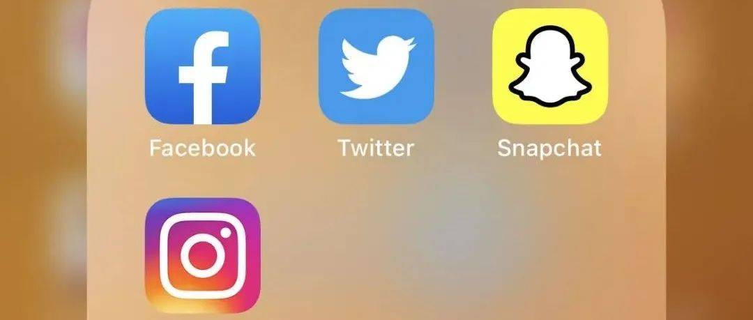 Snap vs FB vs Twitter谁的未来更值得期待？_同比_Meta_收入