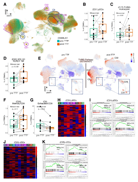 【精选编译】TTFields靶向cGAS/STING通路和AIM2炎症小体激活GBM适应性免疫_诱导_细胞系_治疗