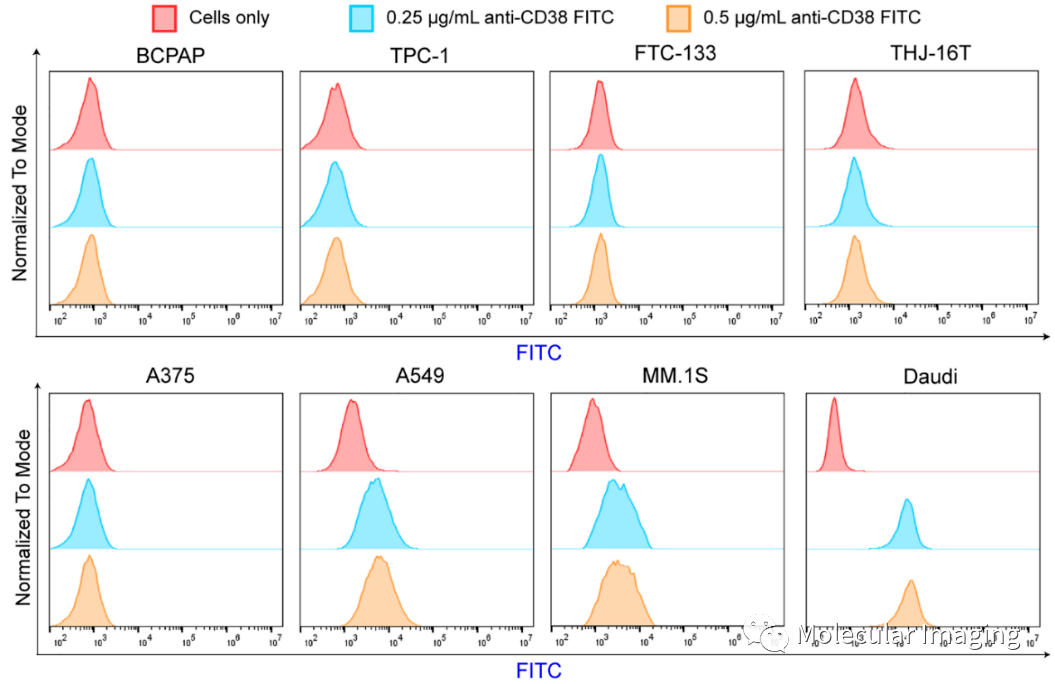 【学术】EJNMMI｜⁶⁸Ga-NOTA-Nb1053多发性骨髓瘤免疫PET成像_肿瘤_进行_探针