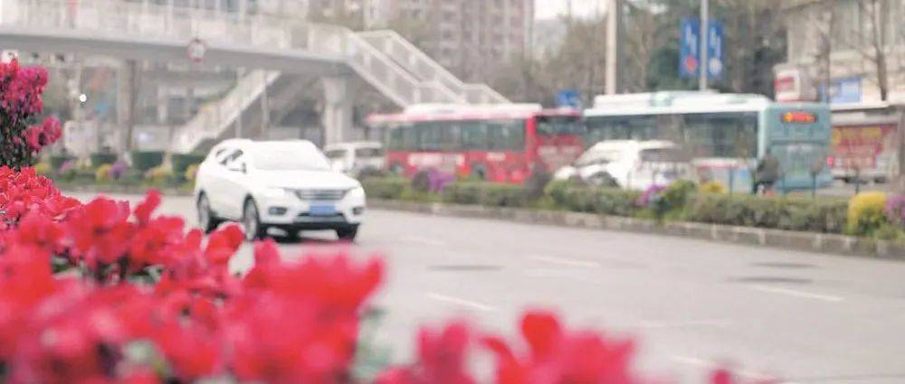 Small flower boxes arranged together to decorate roads_Road_Thus_Yangli