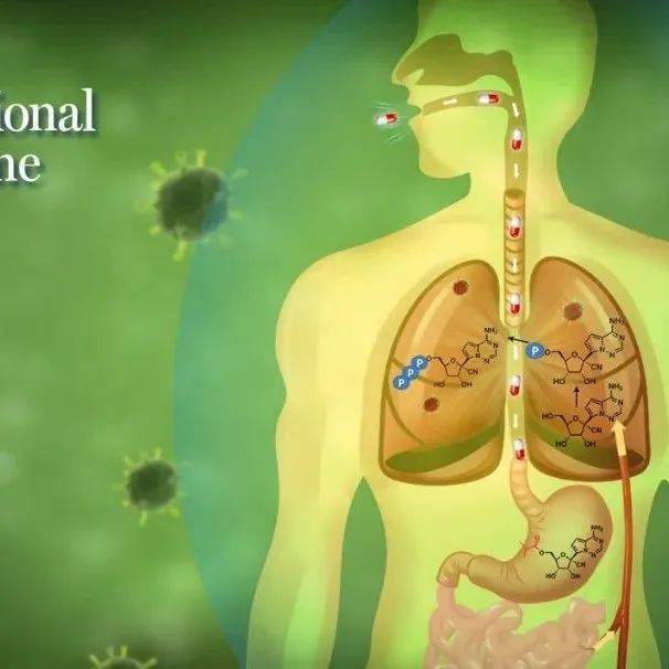 Sci Transl Med丨郭德银/张绪穆合作团队取得抗新冠病毒口服小分子药物研发进展_瑞德西韦_德银_病毒