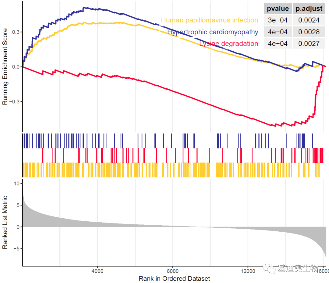快速拿捏KEGG/GO/Reactome/Do/MSigDB的GSEA富集分析！_DESeq_entrez_差异