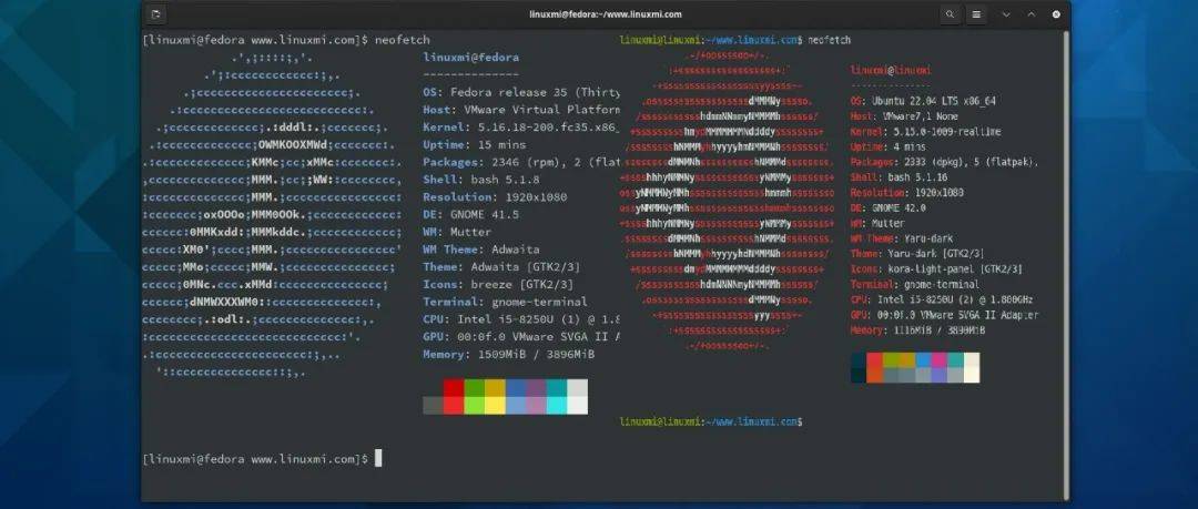 Fedora vs Ubuntu：你真的懂吗？_Hat_Linux_版本