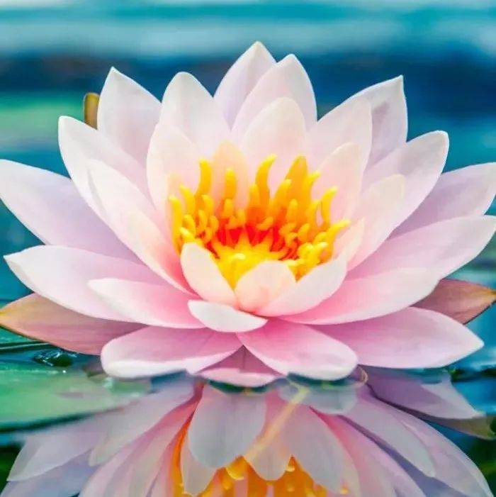 每日心语:天不渡人,人需自渡逢事多余生宇儿