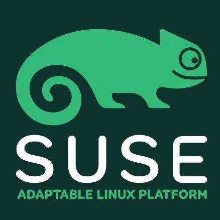 开源软件巨头发布 Euler Linux 2.0，支持华为鲲鹏、飞腾处理器_Intel_官方消息_Linux