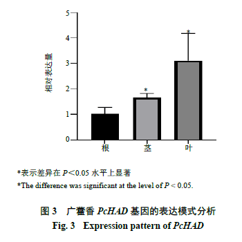 广藿香PcHAD基因克隆及其参与广藿香醇生物合成功能分析_研究_调控_蛋白质
