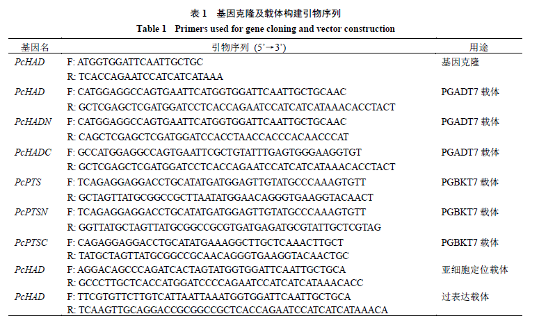 广藿香PcHAD基因克隆及其参与广藿香醇生物合成功能分析_研究_调控_蛋白质
