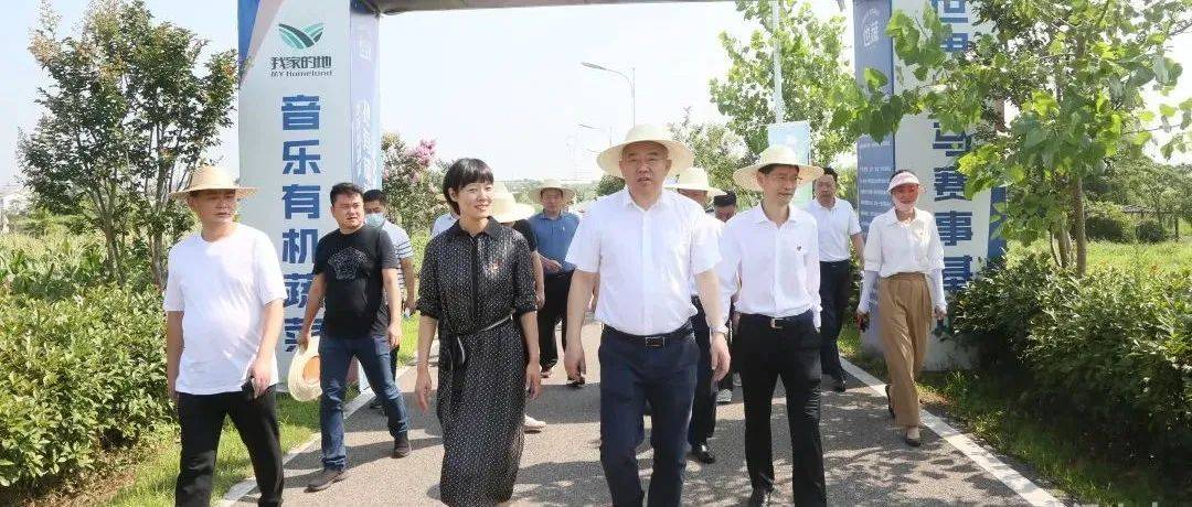 胡立山赴新洲区开展下基层察民情解民忧暖民心实践活动 工作 习近平 调研