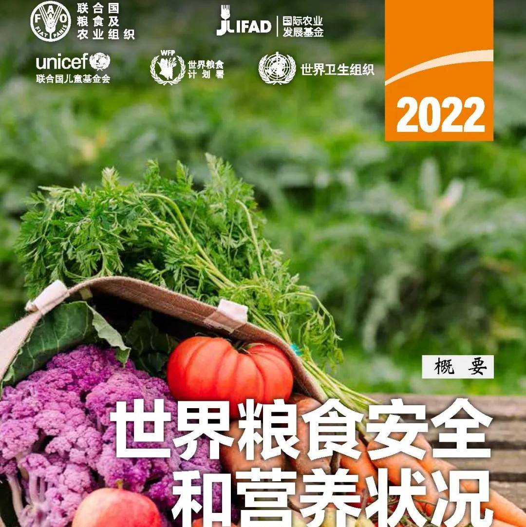 联合国粮农组织解读2022年全球粮食安全状况 世界卫生组织 报告 支持