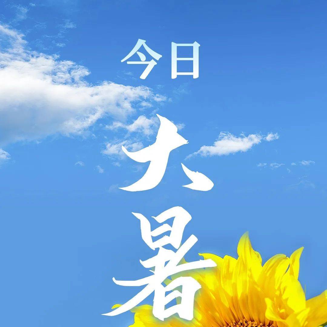 今日大暑刘嘉伟宋伟东时节
