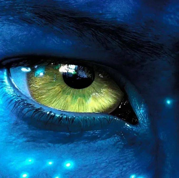 炒作冷饭哪家强？《阿凡达》和《泰坦尼克号》将通过 TrueCut Motion 以高帧率重新制作_电影_詹姆斯卡梅隆_技术