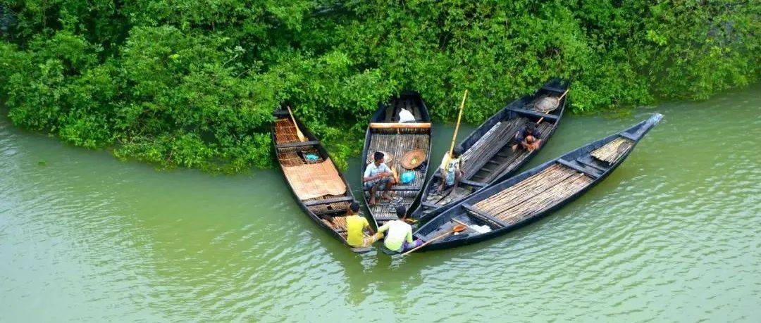 新兴市场风暴蔓延：斯里兰卡之后，隔海相望的孟加拉国陷入困境_孟加拉国政府_贷款_进口价