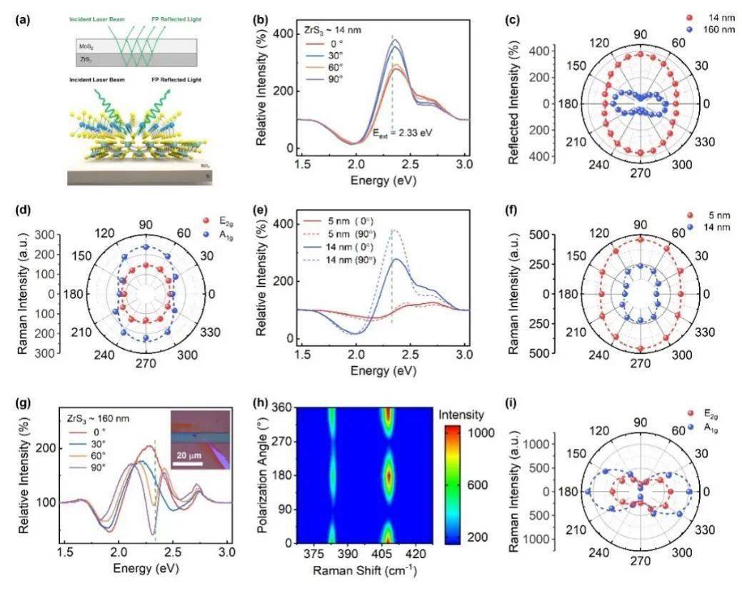 南昌大学周杨波课题组AOM：准一维 ZrS3 作为各向异性纳米反射腔调制光-物质相互作用_材料_拉曼_强度