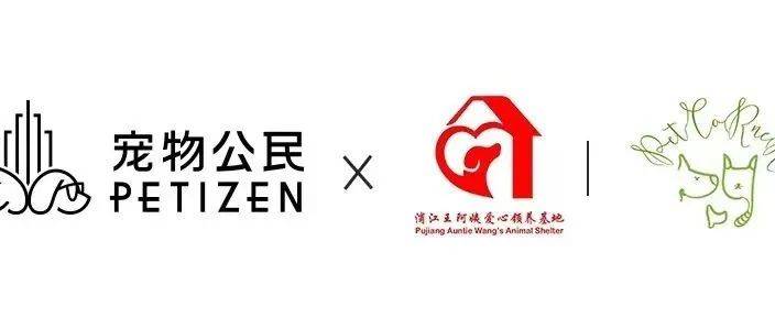 没想到今天我们也能见证TA们成为品牌大使_Petizen_公民_宠物