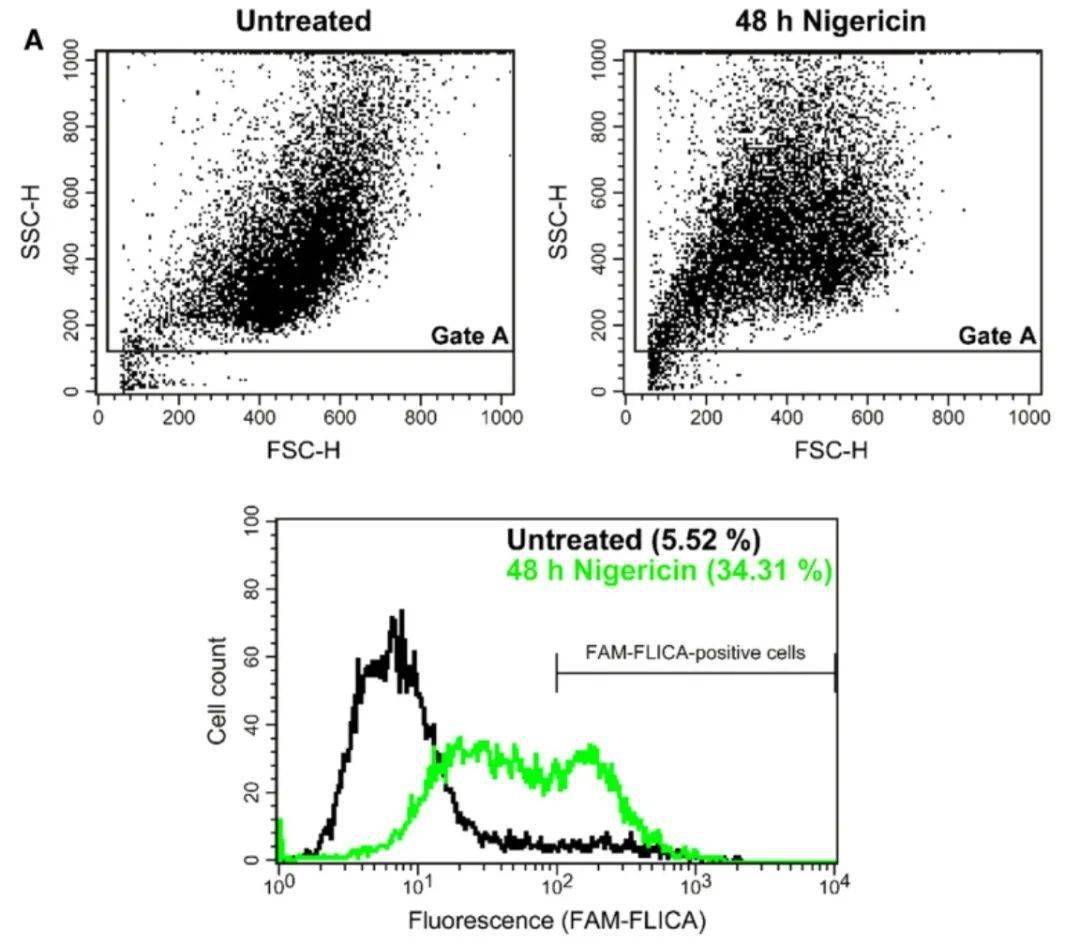 如何用流式来检测细胞焦亡pyroptosis？_分析_洗涤_Caspase-
