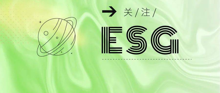 战昕彤：拒绝漂绿，发挥ESG的投资价值_企业_评级_上市公司