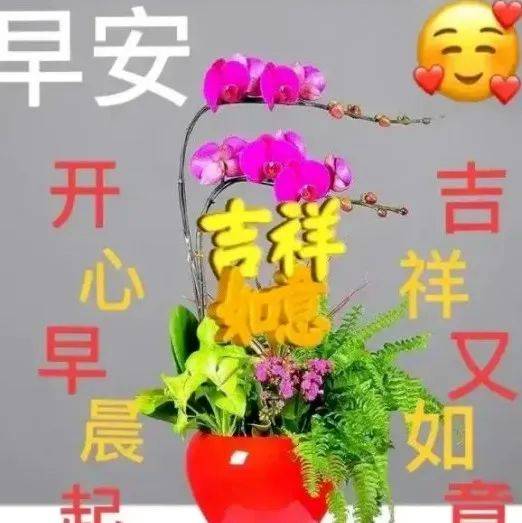 早上好，祝福朋友，幸福安康！_苛求_心计_风里