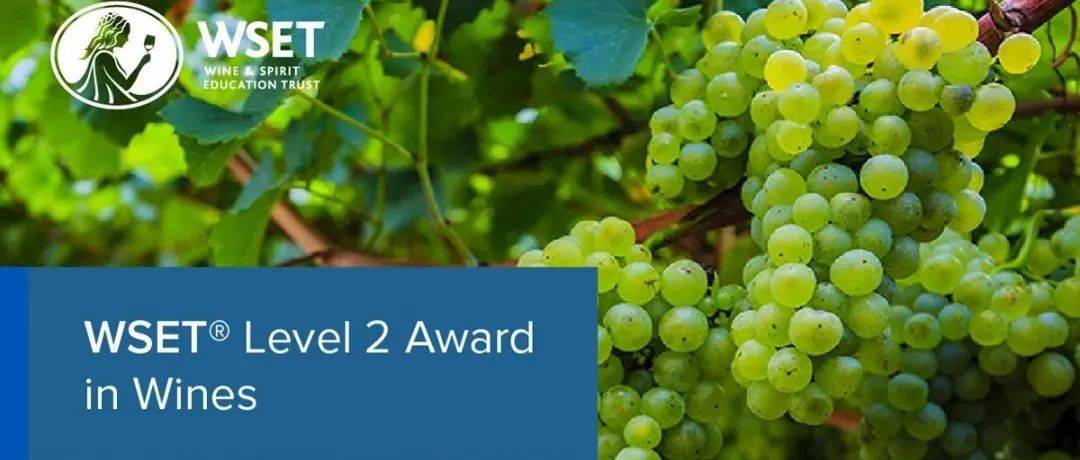 用正牌拉菲开WSET二级课，酒云首开精品私定小班酒单太壕！_酒庄_teau_Domaine