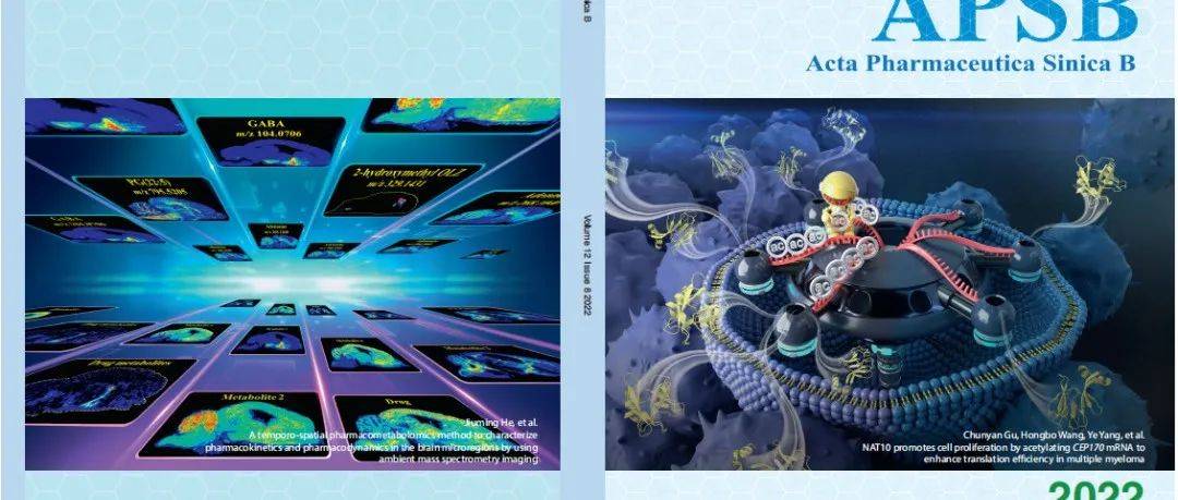 【APSB】2022年8期上线_Zhang_Haolin_cell