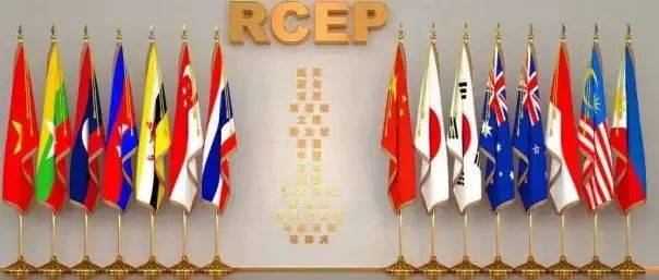 商务部 |《区域全面经济伙伴关系协定》（RCEP）专题培训教材_SH_GO_Global_商务部国际司_企业